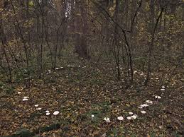 Fairy Rings: Myth and Nature – OGHAMGIFTS